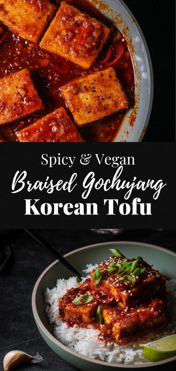 Braised Gochujang Korean Tofu (Vegan) - Liv Vegan Strong