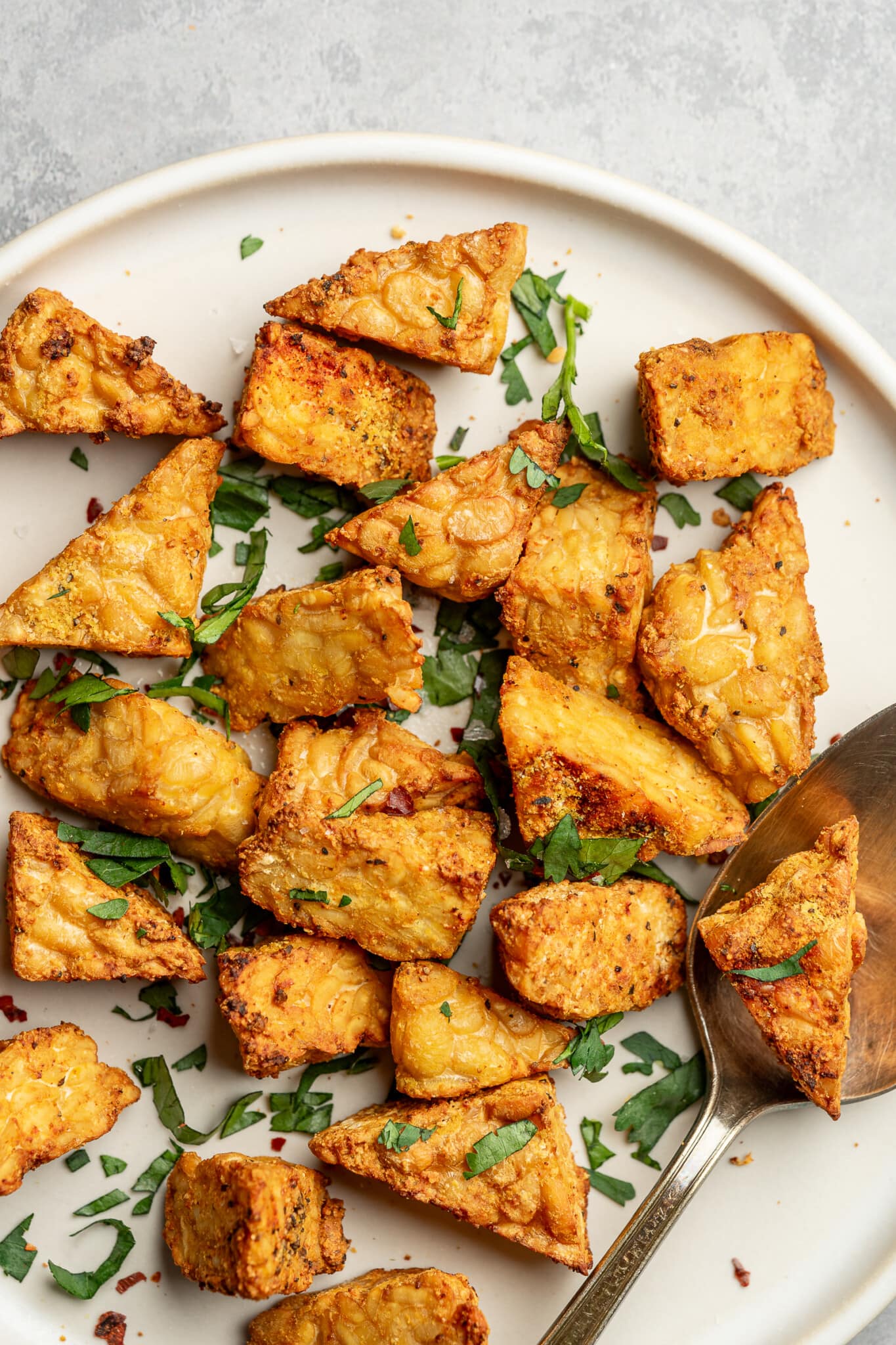 Crispy Air Fryer Tempeh - Liv Vegan Strong